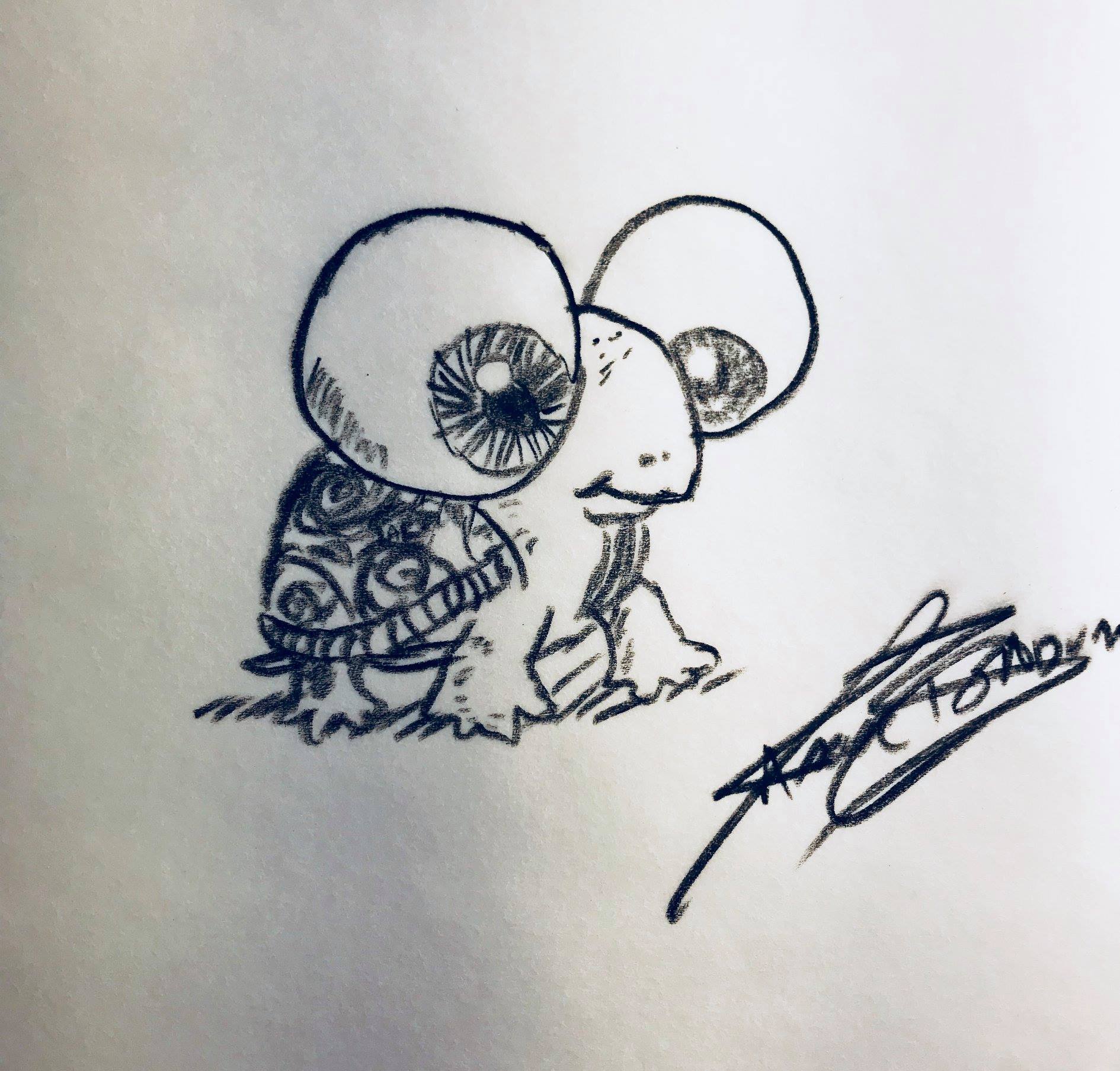 Frank The Turtle – DocBott